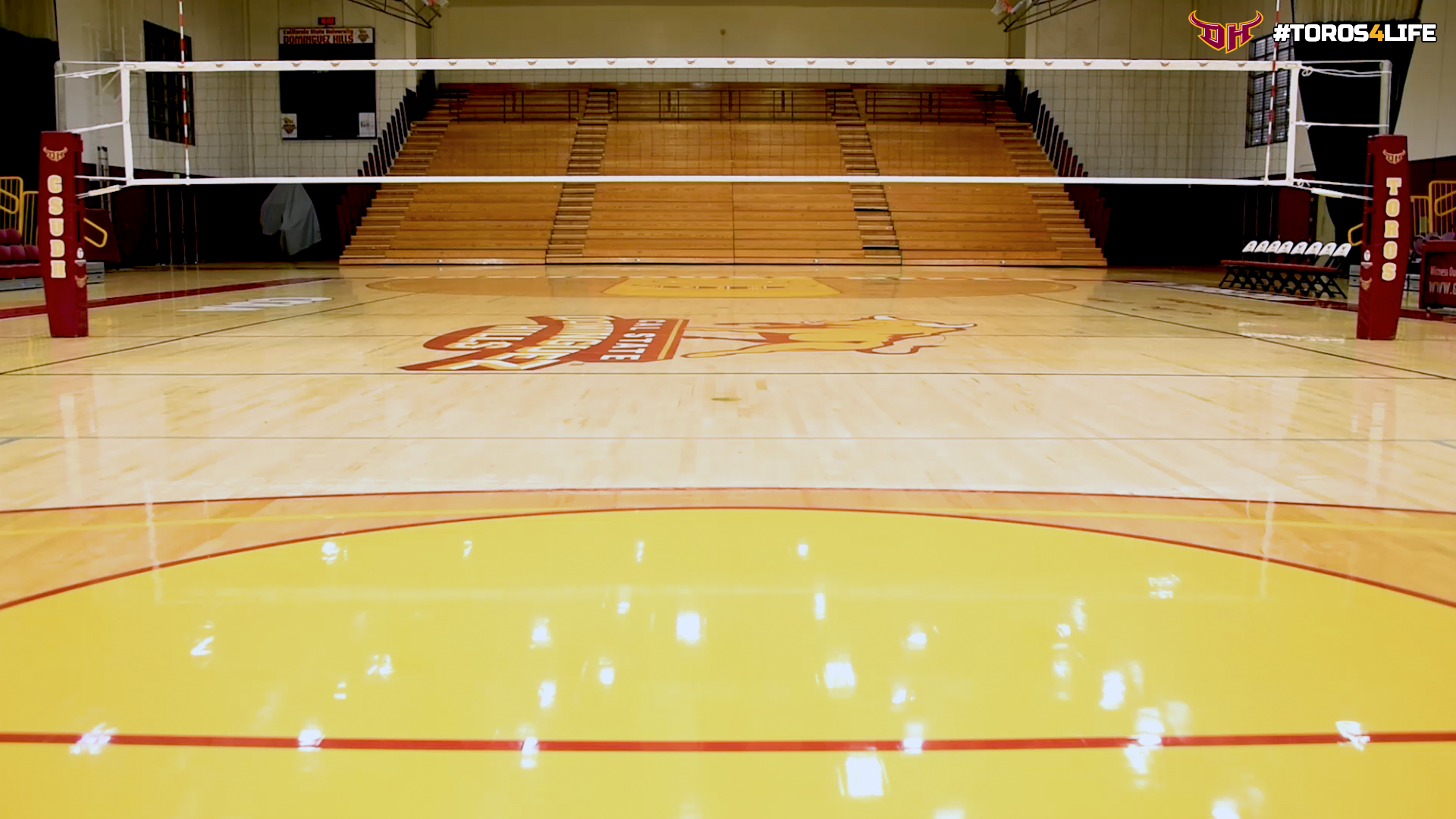 Athletics Zoom Backgrounds - Cal State Dominguez Hills Athletics